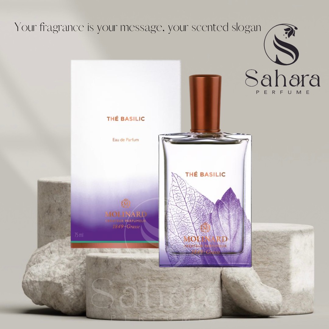 Basilic giá rẻ Tháng 9,2023|BigGo Việt Nam