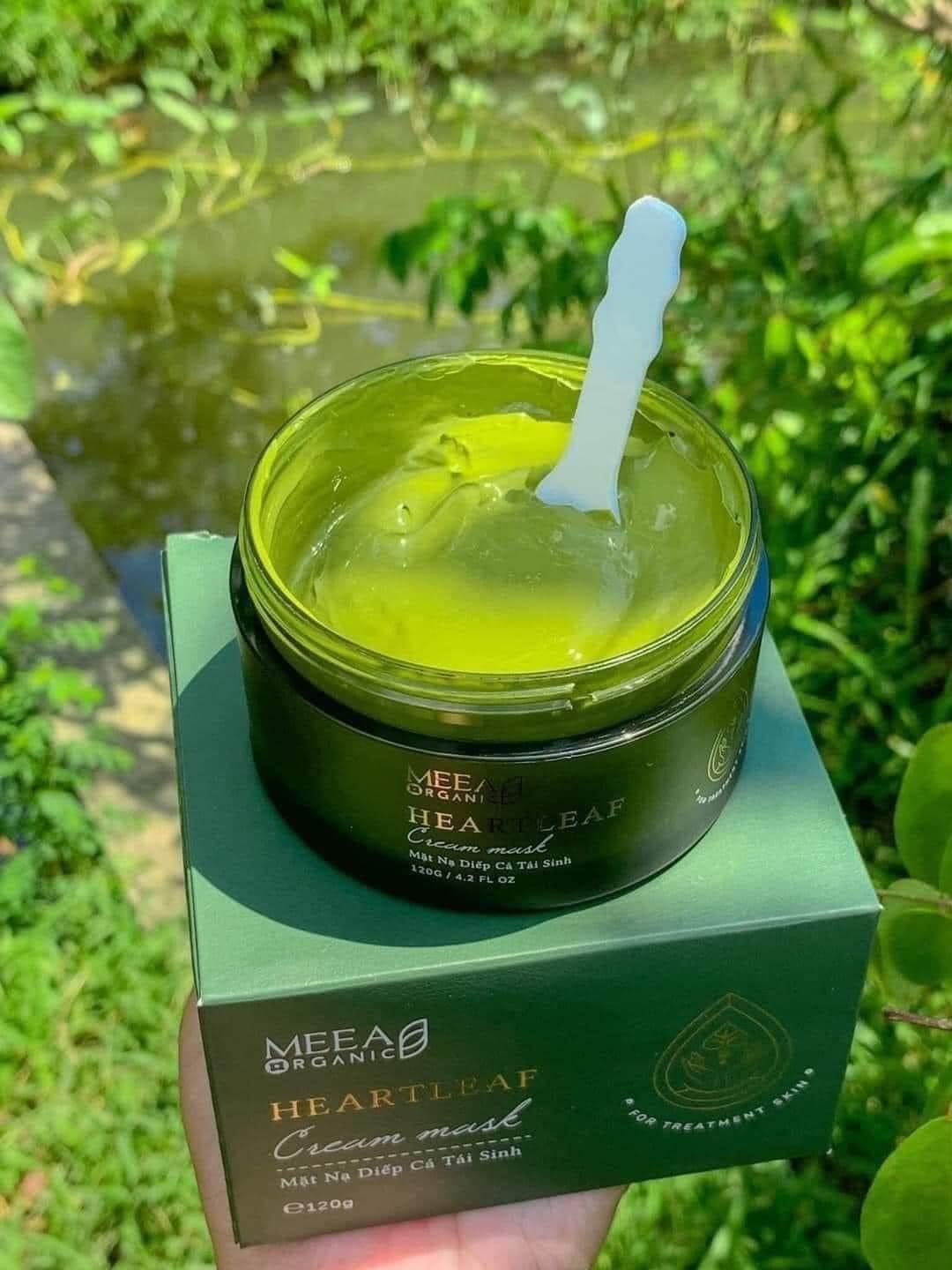 Heartleaf giá rẻ Tháng 5,2023|BigGo Việt Nam