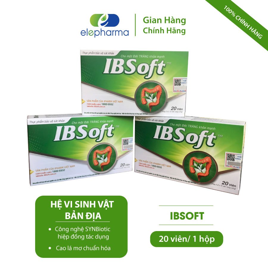 Ibsoft giá rẻ Tháng 8,2023|BigGo Việt Nam